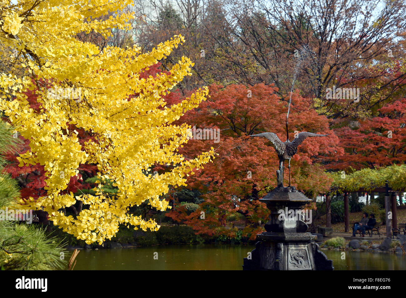 Tokyo, Japan. 6th Dec, 2015. Leaves are turning yellow and red at ...