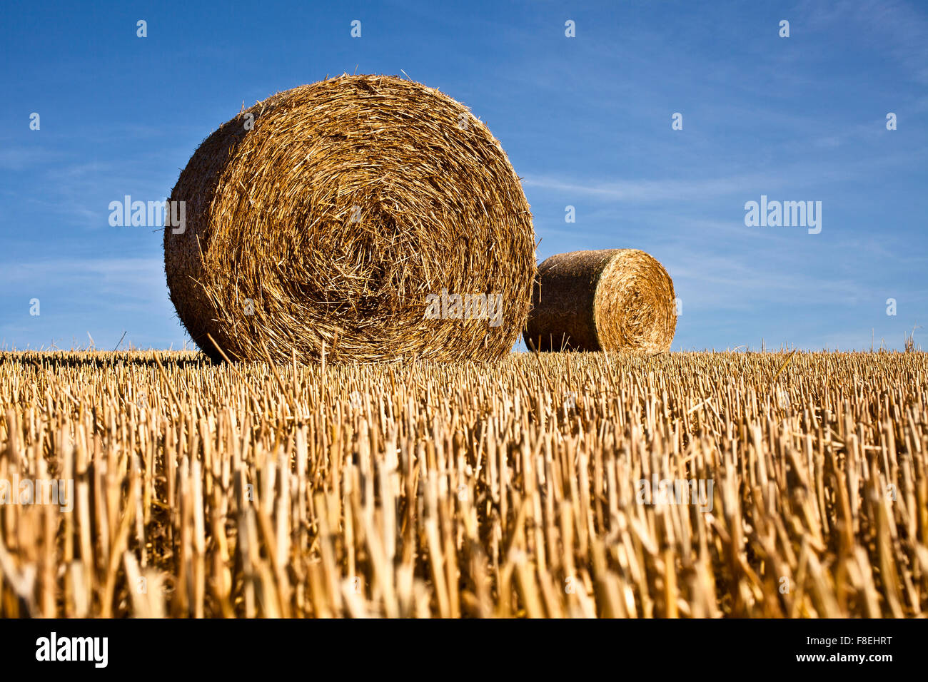 Cut straw field hi-res stock photography and images - Alamy
