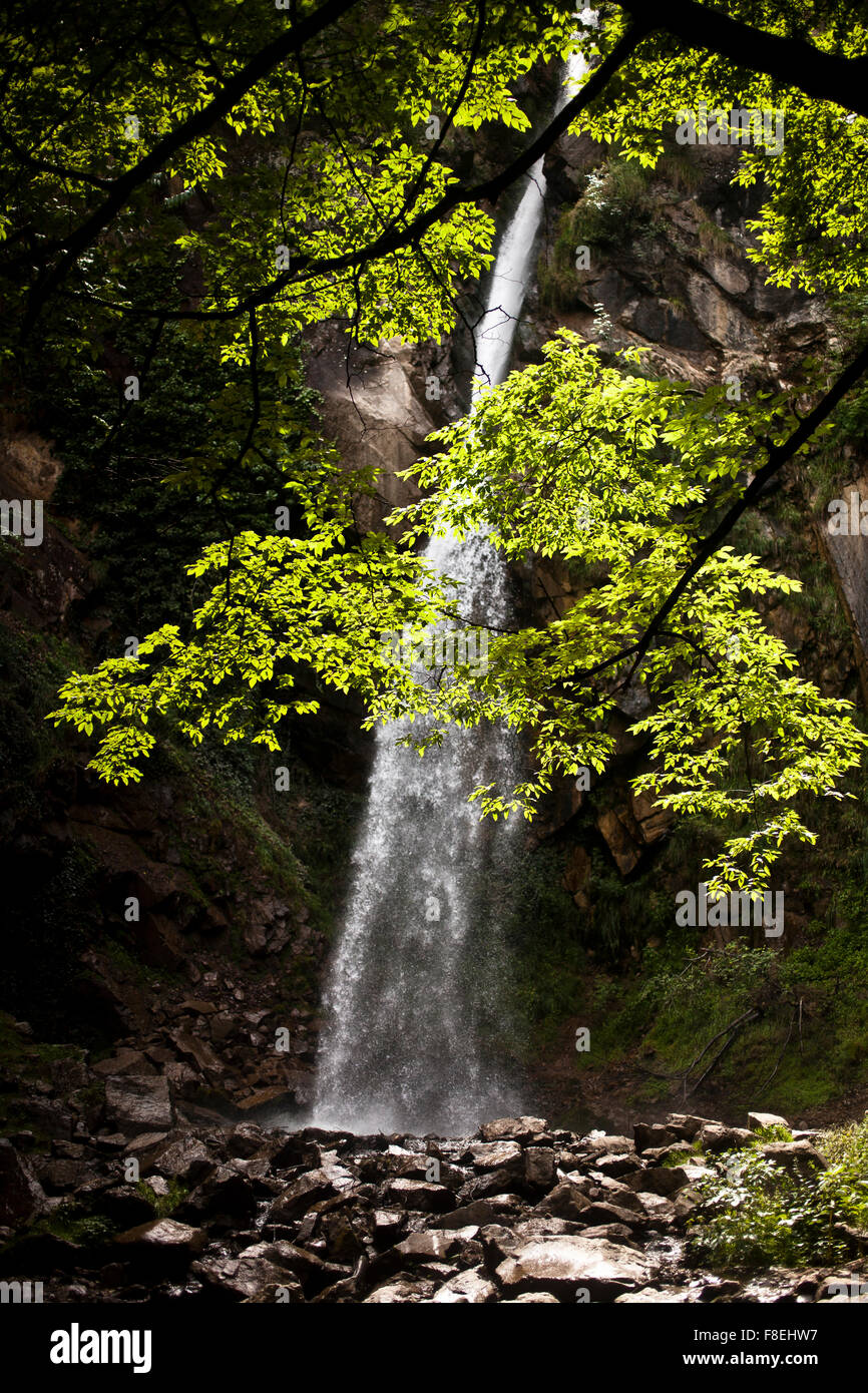 Waterfall behind trees hi-res stock photography and images - Alamy
