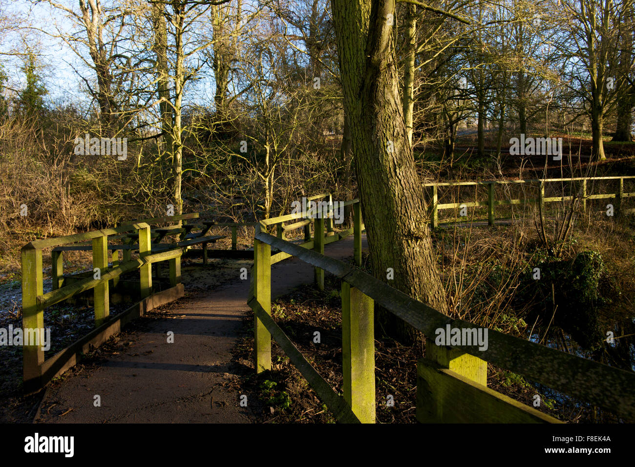 Connecting pathway hi-res stock photography and images - Alamy