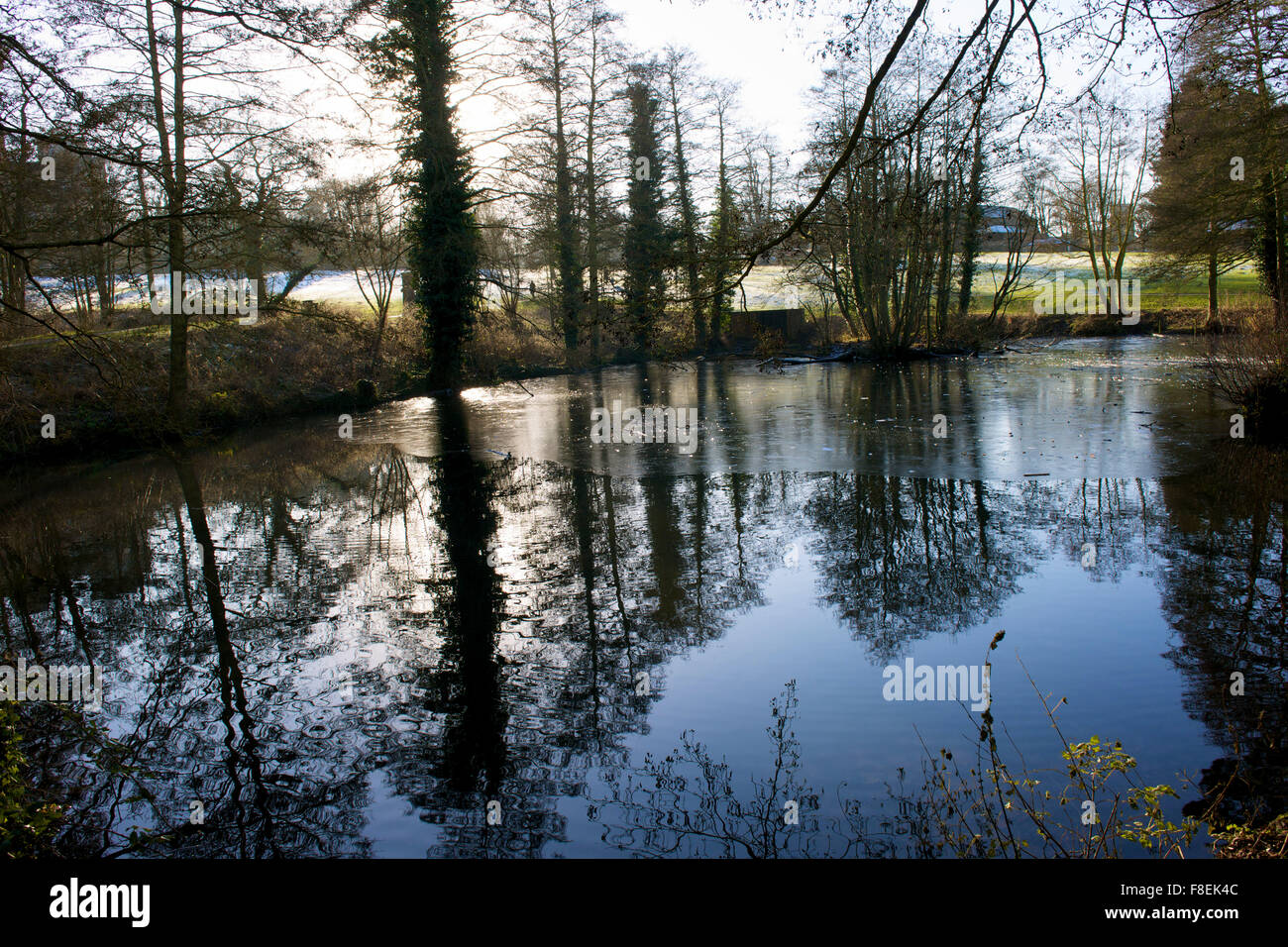A small frozen lake in winter in a forest in the United Kingdom with ...