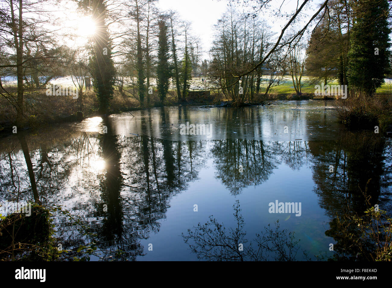 A small frozen lake in winter in a forest in the United Kingdom with ...