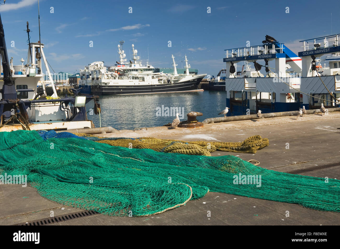 Peterhead harbour - Aberdeenshire, Scotland Stock Photo - Alamy