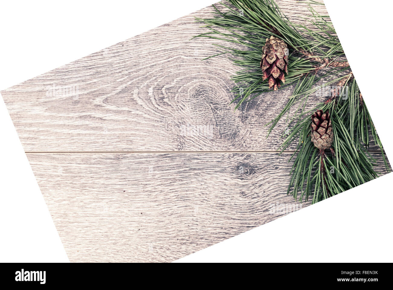 Fir tree branch old Cut Out Stock Images & Pictures - Alamy
