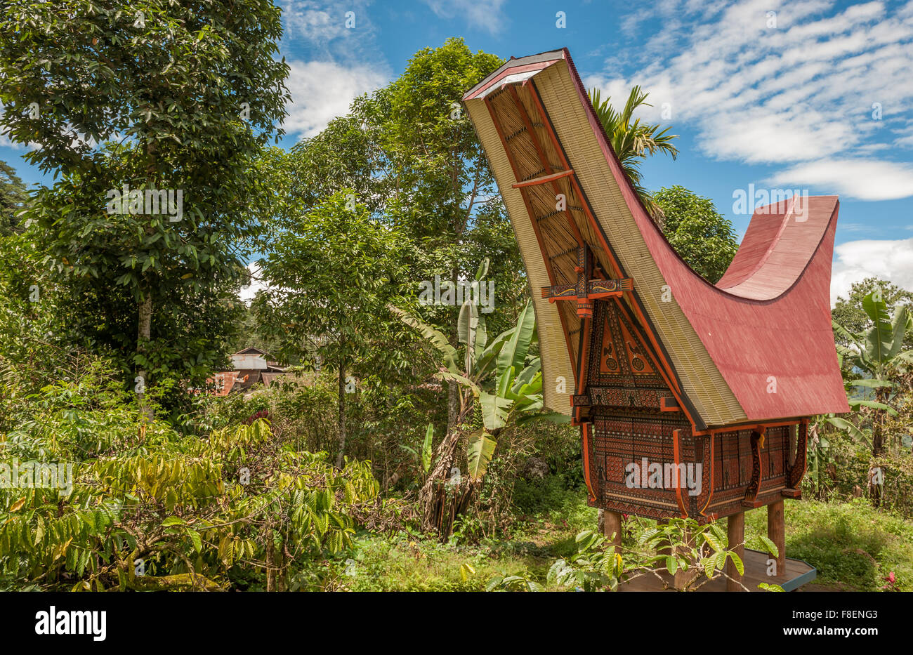 Tongkonan houses, traditional Torajan buildings, Tana Toraja, Sulawesi ...