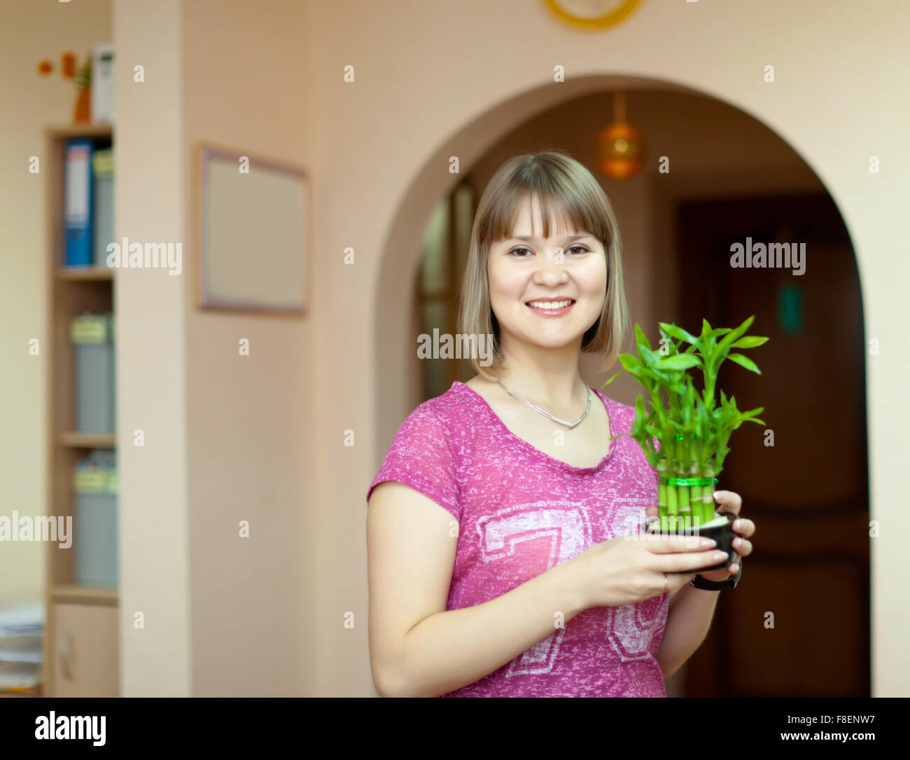 Dragon tree in pot hi-res stock photography and images - Alamy