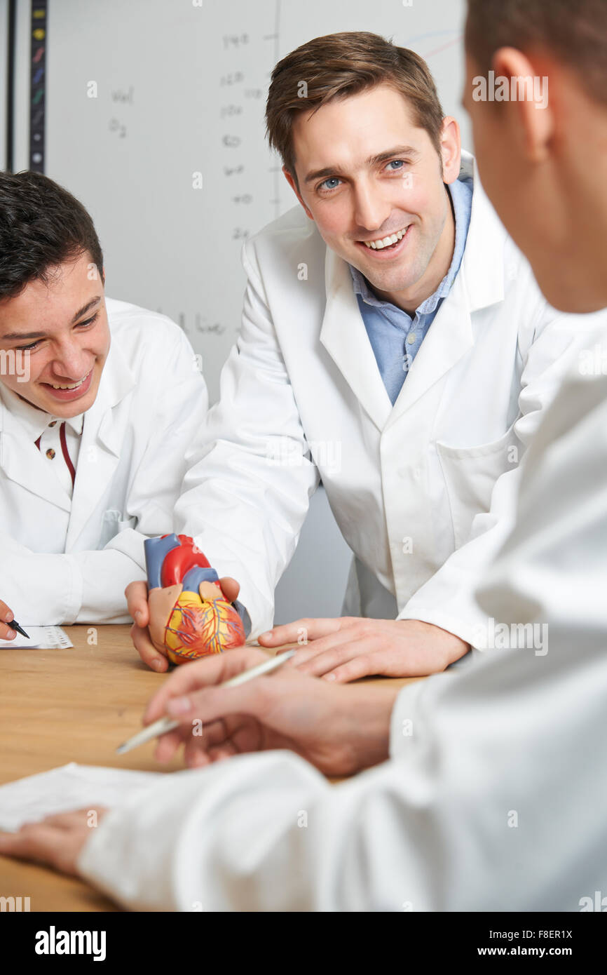 Human heart model vertical hi-res stock photography and images - Alamy