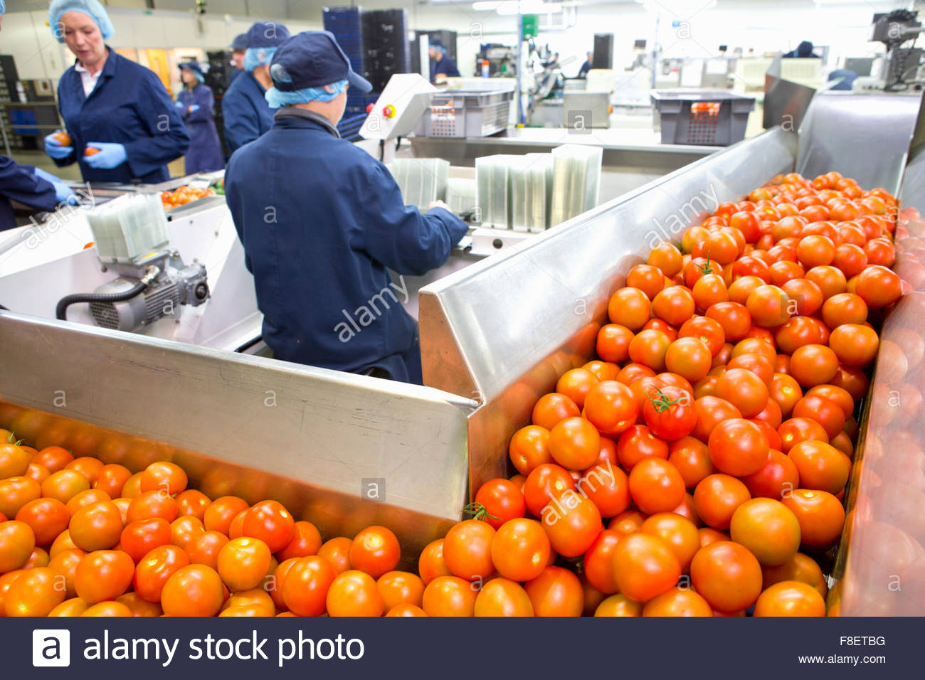Food Production Line Stock Photos & Food Production Line Stock Images ...