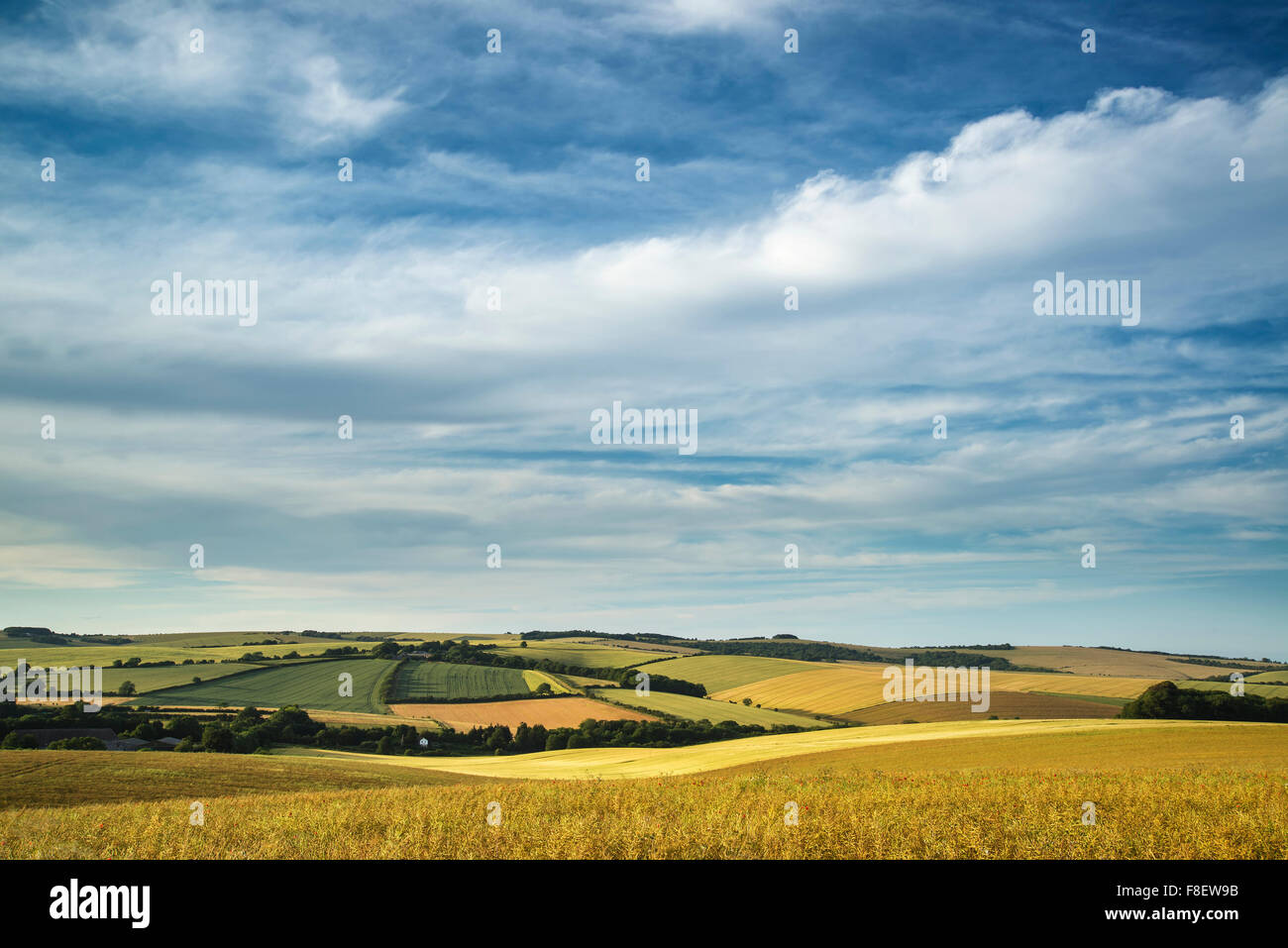 Summer landscape over agricultural farm fields of crops Stock Photo - Alamy