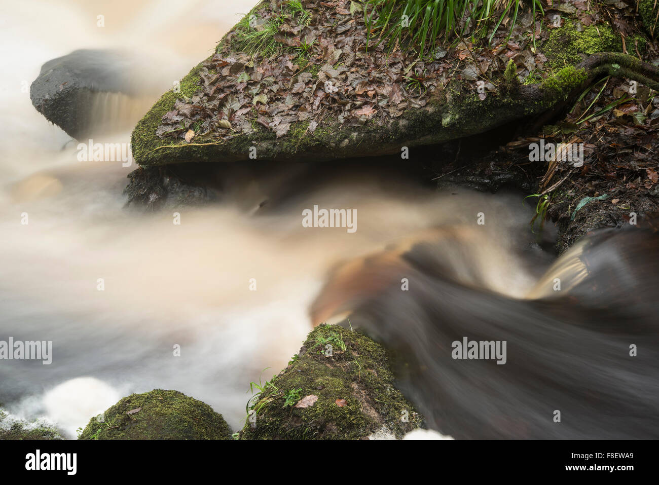 Autumn Fall forest landscape river flowing through golden vibrant ...