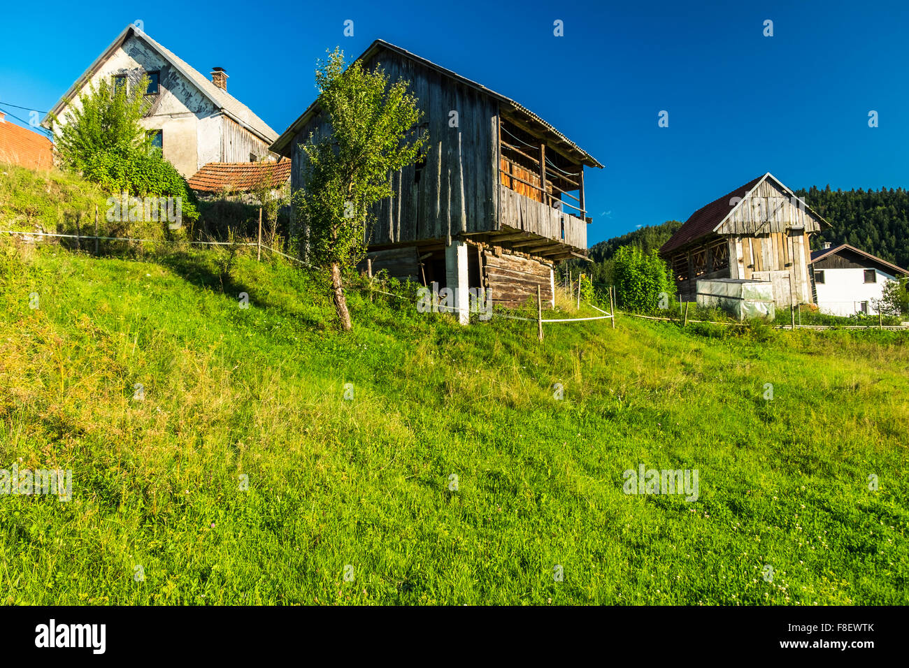 Loski potok hi-res stock photography and images - Alamy