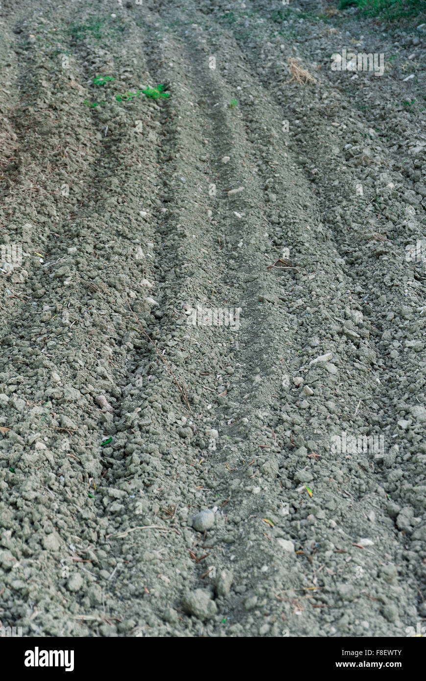 Details of a plowed ground, with stones and loose soil Stock Photo - Alamy
