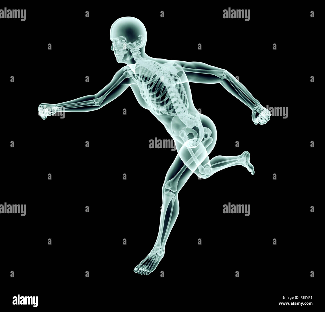 Anatomy man x ray hi-res stock photography and images - Alamy