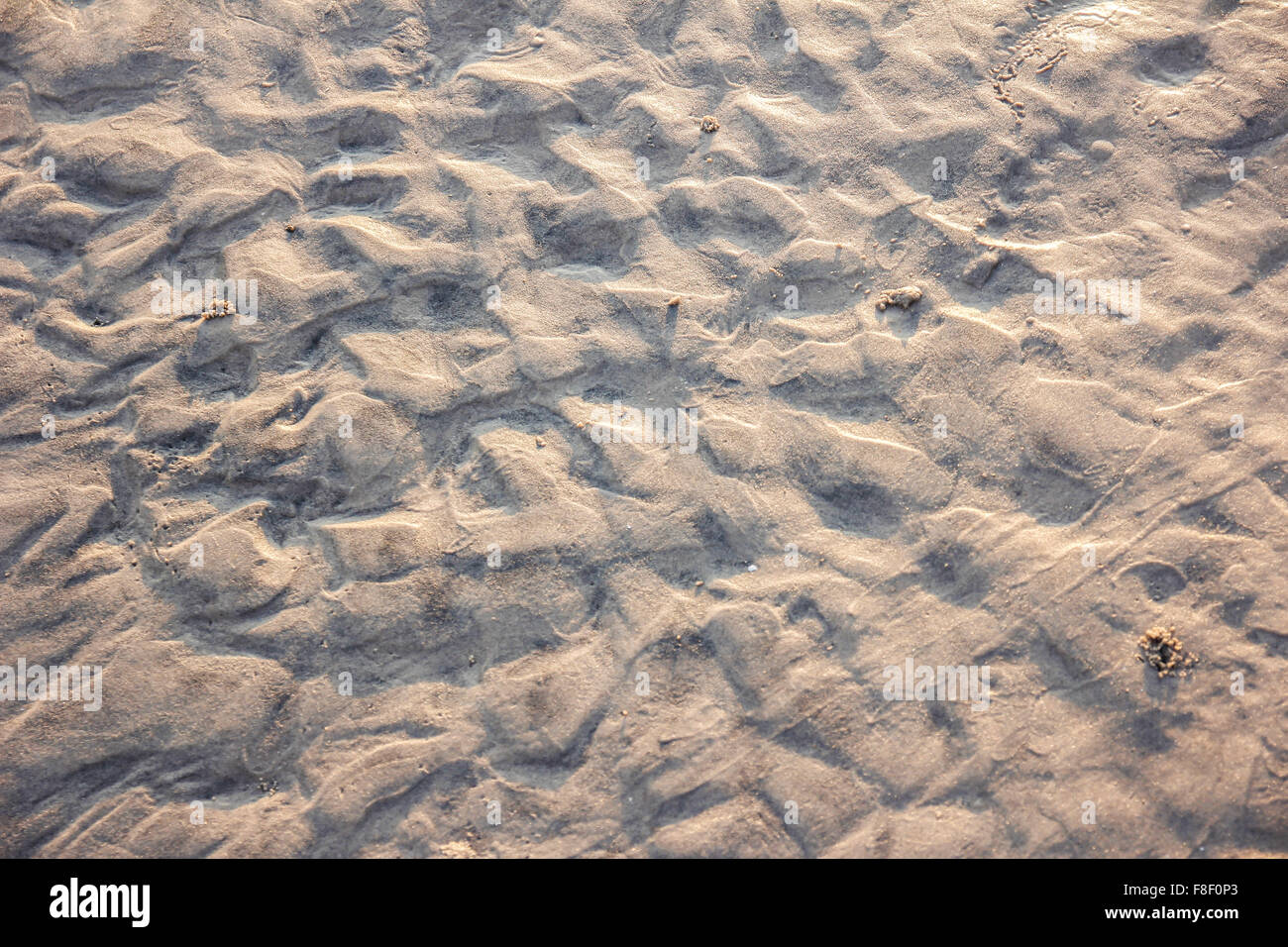 Beautiful sand beach in summer hi-res stock photography and images - Alamy