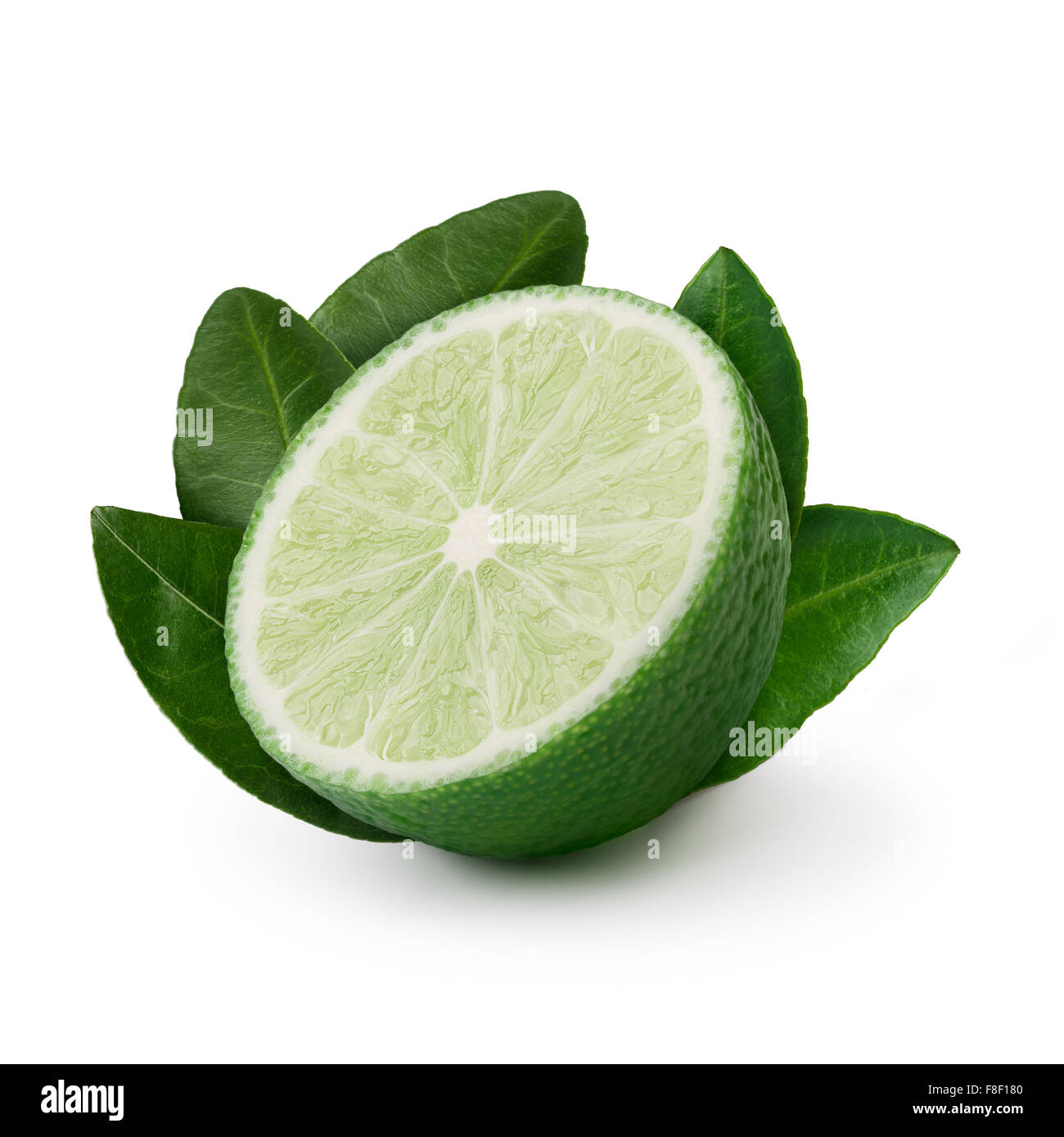 Lime half with leaves. Infinite depth of field,clipping path,retouched ...