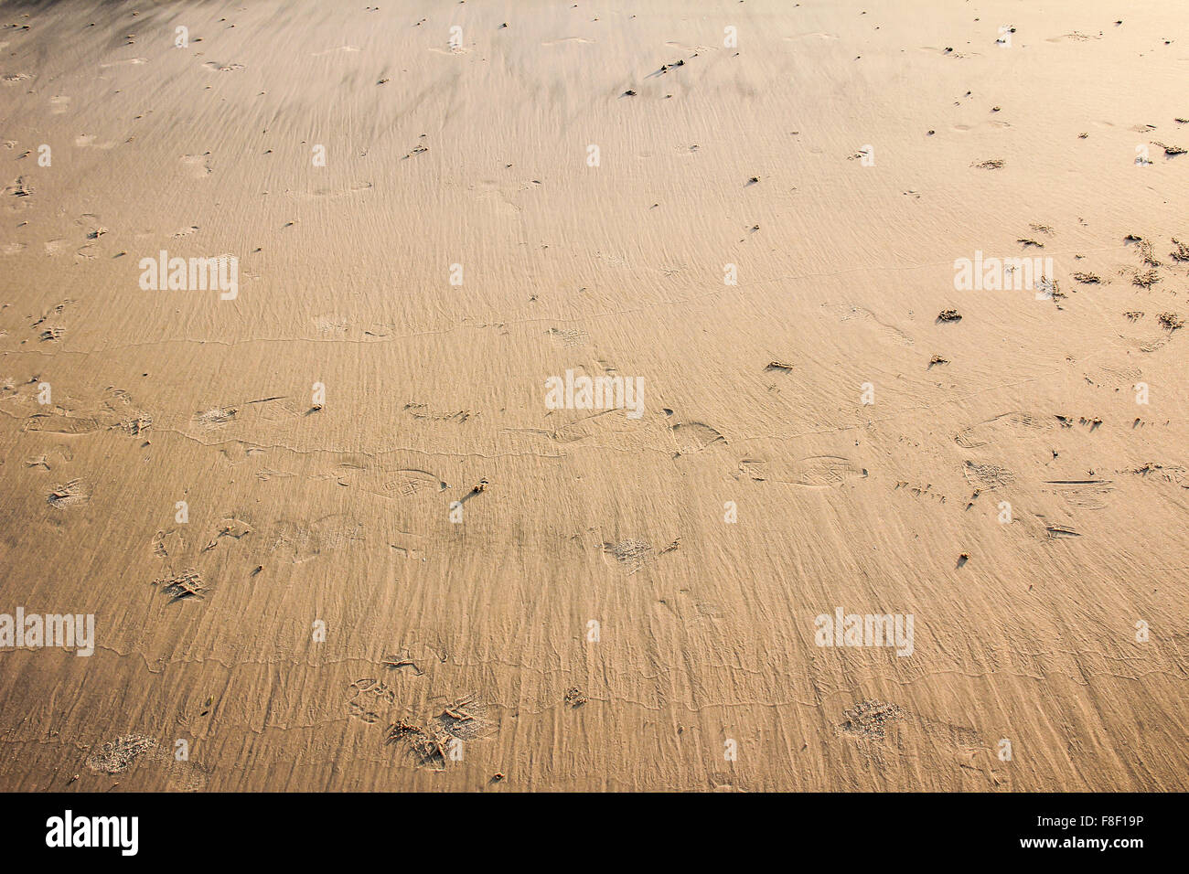 Beautiful sand beach in summer hi-res stock photography and images - Alamy