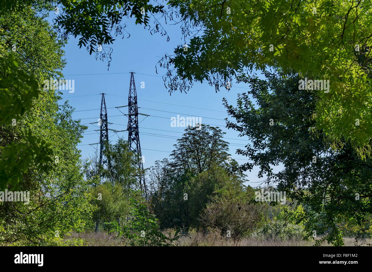 Beautiful view through trees in forest to electric power transmission ...