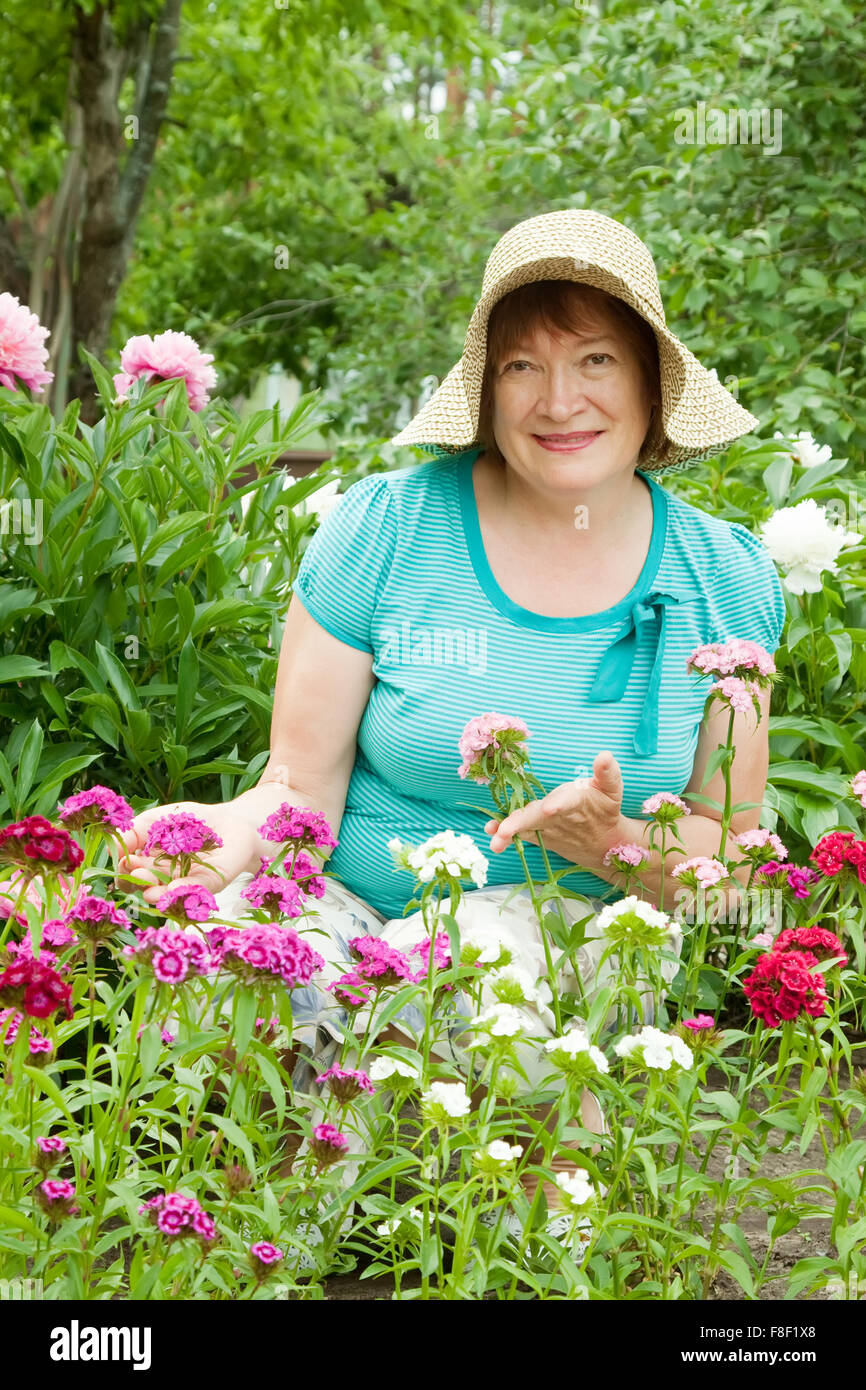 Female gardener in carnation plant at garden Stock Photo - Alamy