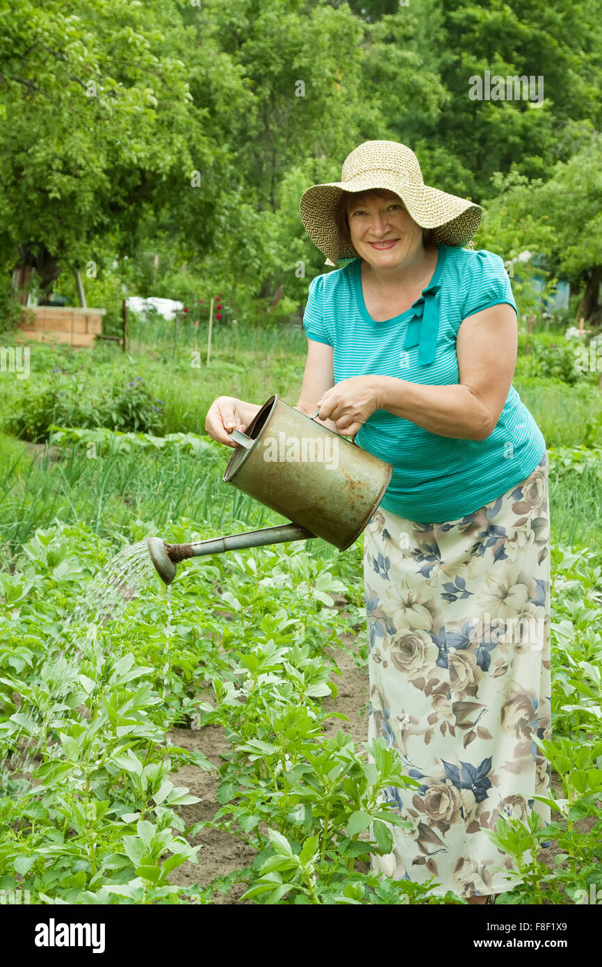 Mature woman watering potato plant Stock Photo - Alamy