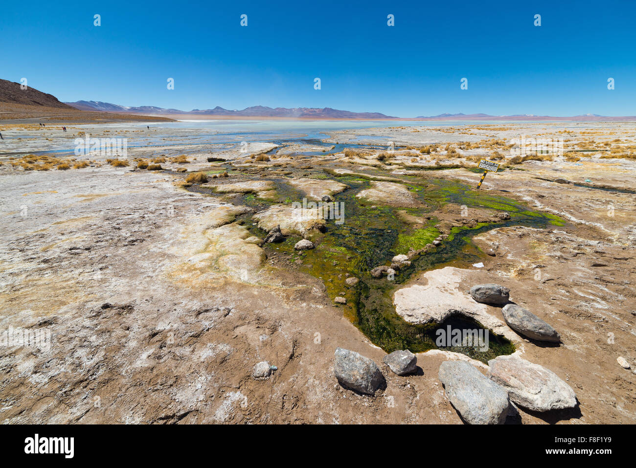 Colorful hot spring with deposits of minerals and algae on the Andean ...