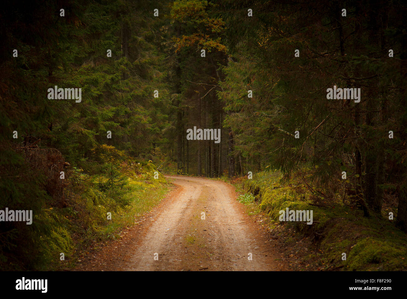 Dirt road nature hi-res stock photography and images - Alamy