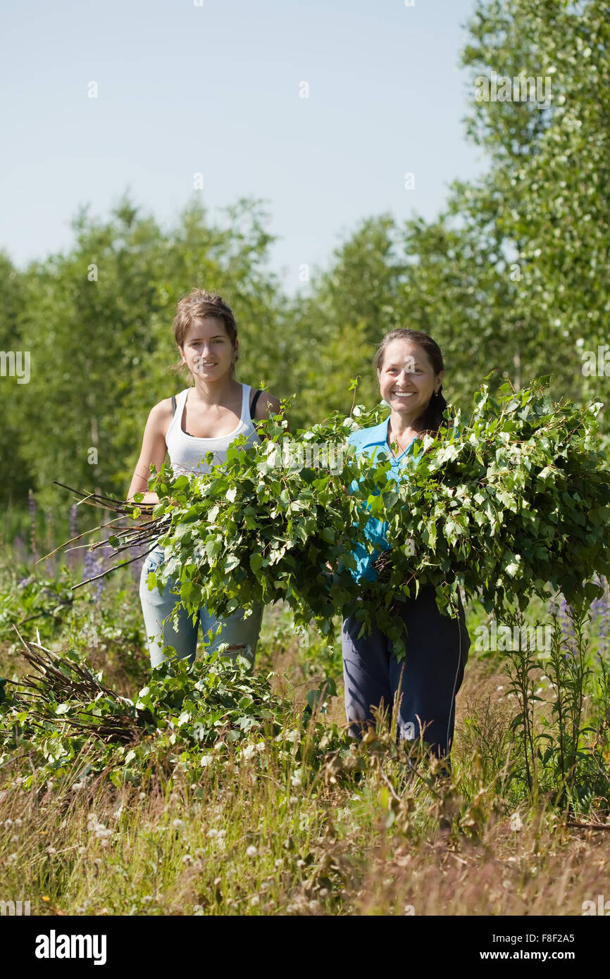 Besom making hi-res stock photography and images - Alamy