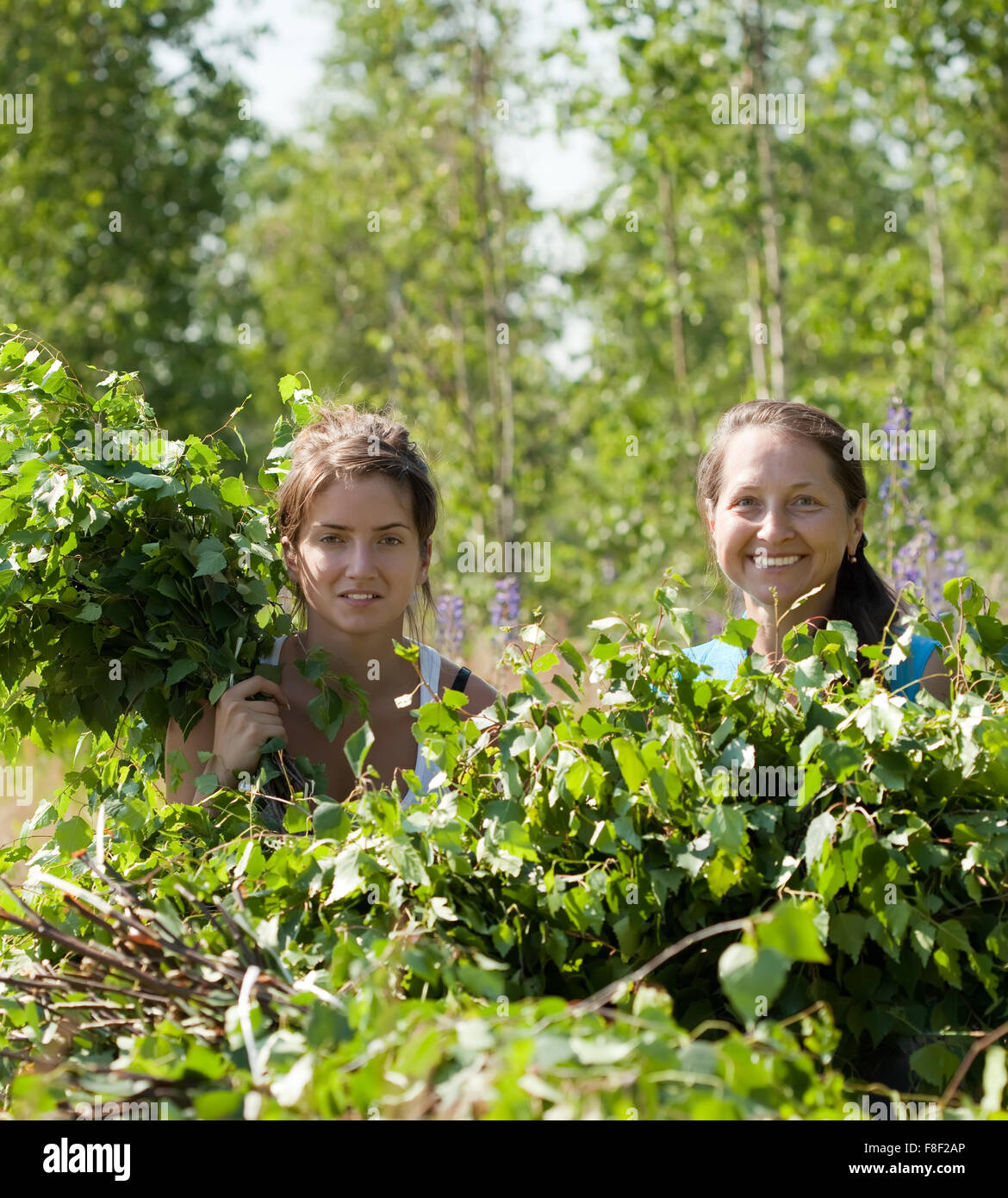 Women cutting branches hi-res stock photography and images - Alamy
