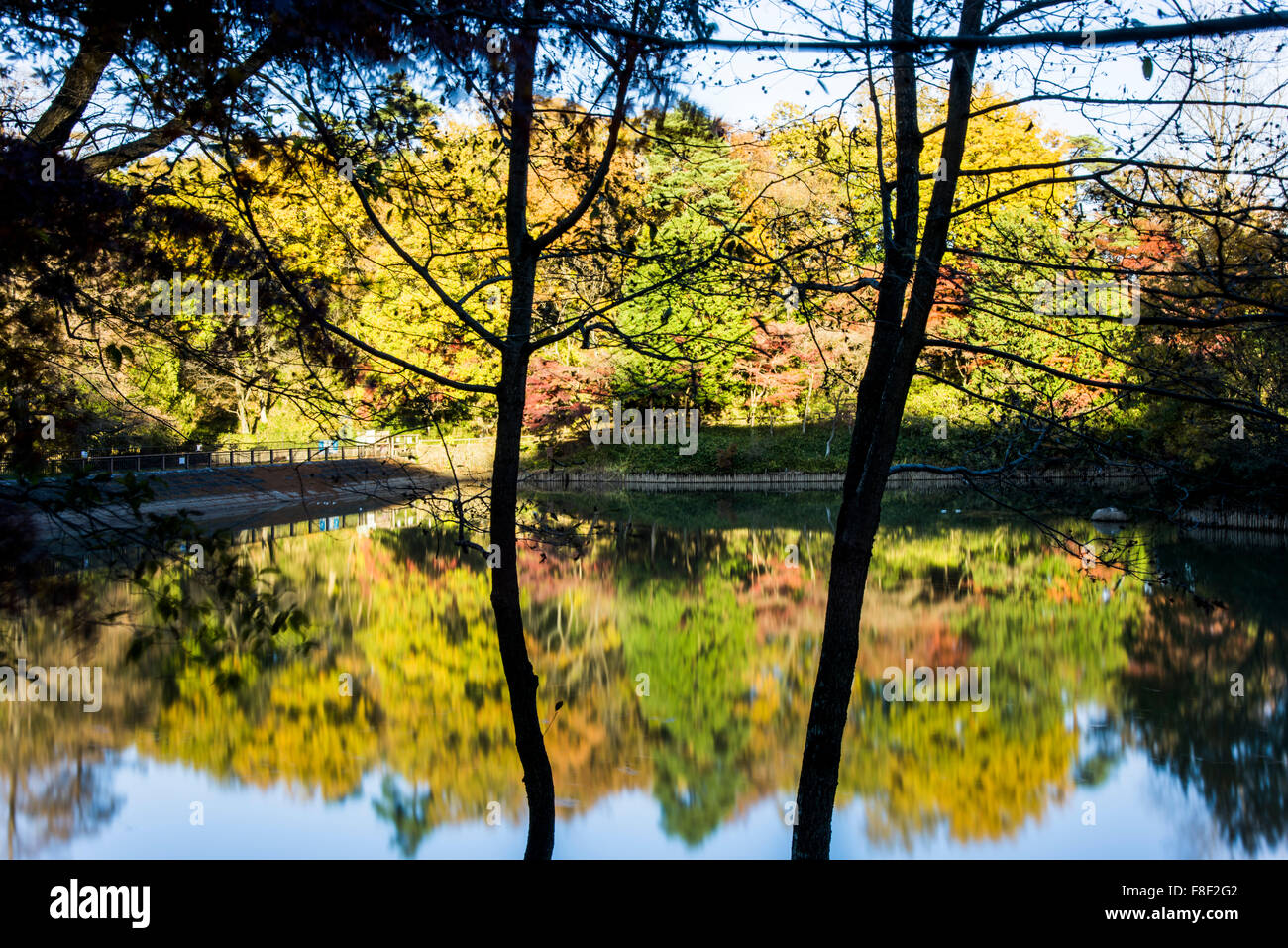 Sayama Nature park,Higashiyamato city,Tokyo,Japan Stock Photo - Alamy