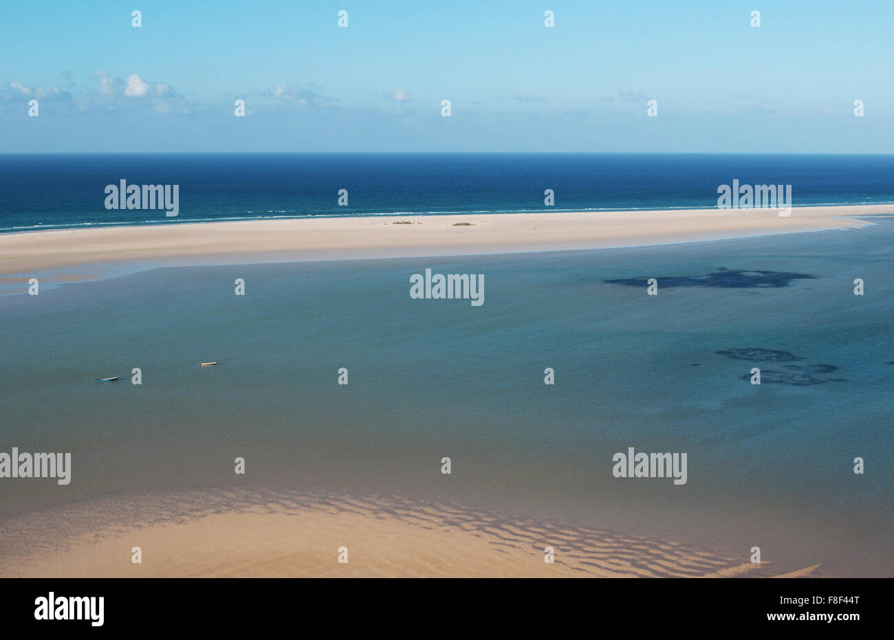 The protected area of Qalansia beach, Gulf of Aden, Arabian Sea ...