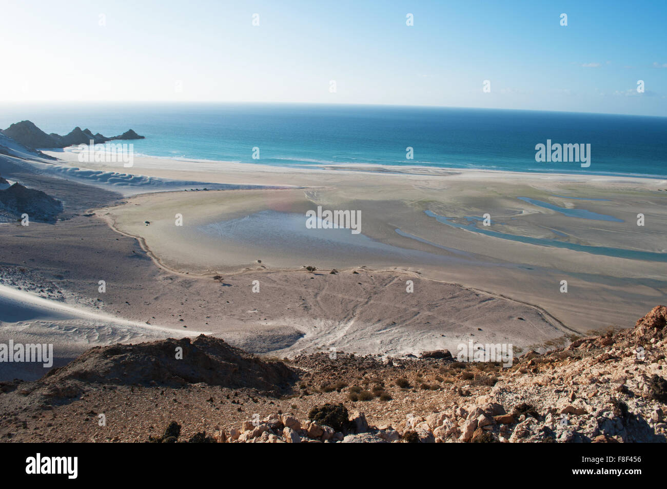 The protected area of Qalansia beach, Gulf of Aden, Arabian Sea ...
