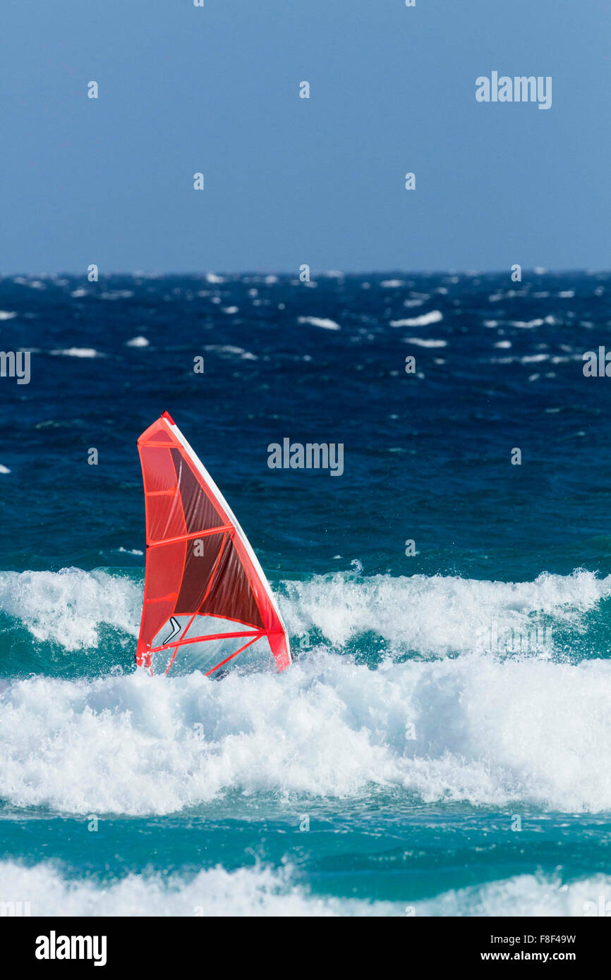 Wind Surfer between waves, Esperance ,Western Australia Stock Photo - Alamy