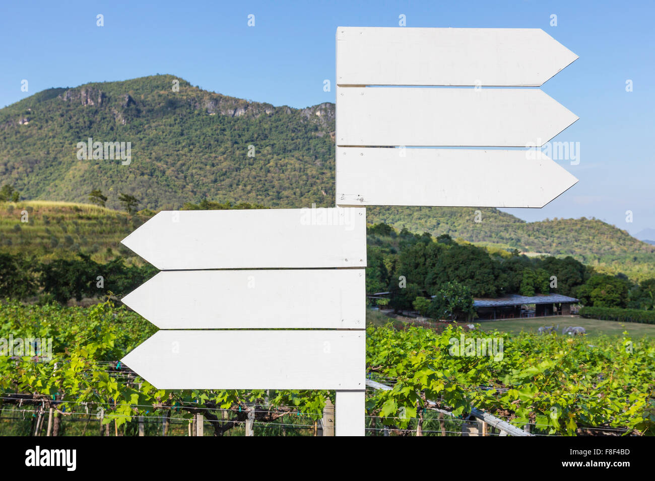 Wooden plant sign hi-res stock photography and images - Alamy