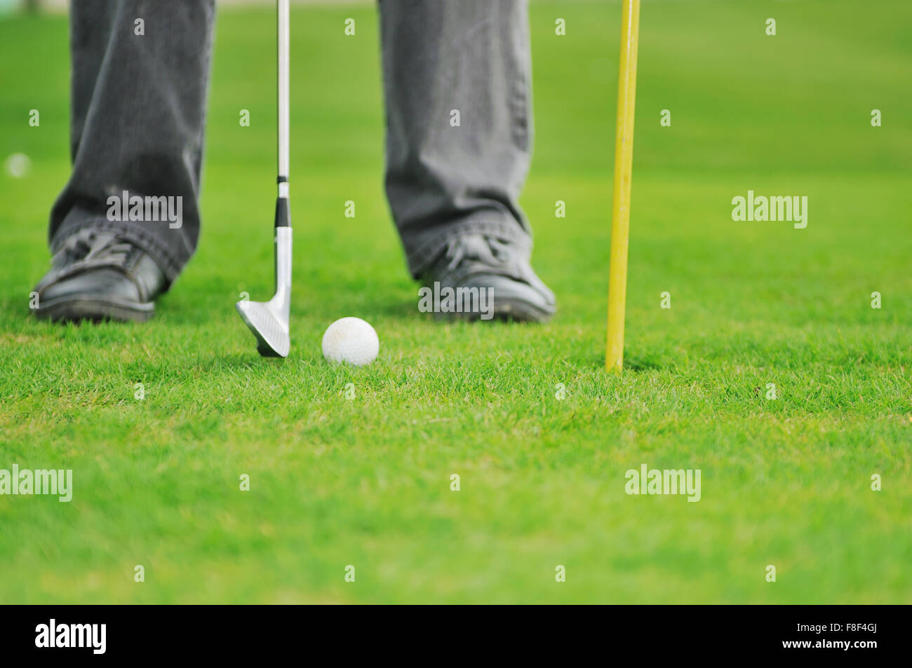 golf ball on sports golf course and hole Stock Photo - Alamy