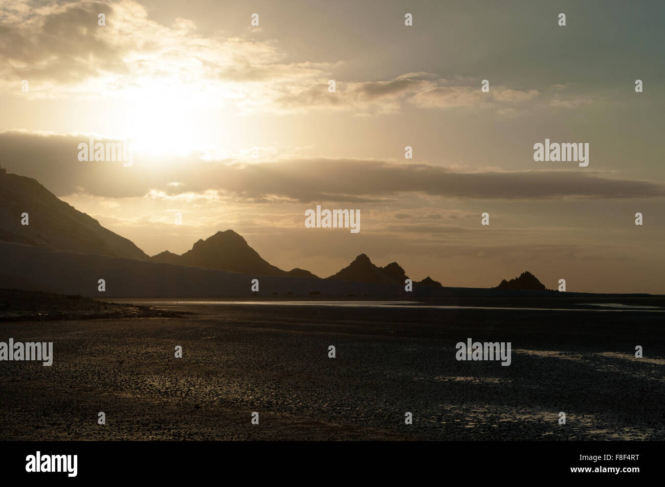 The protected area of Qalansia beach, Gulf of Aden, Arabian Sea ...
