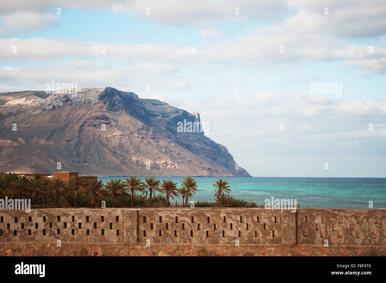 The protected area of Qalansia beach, Gulf of Aden, Arabian Sea ...