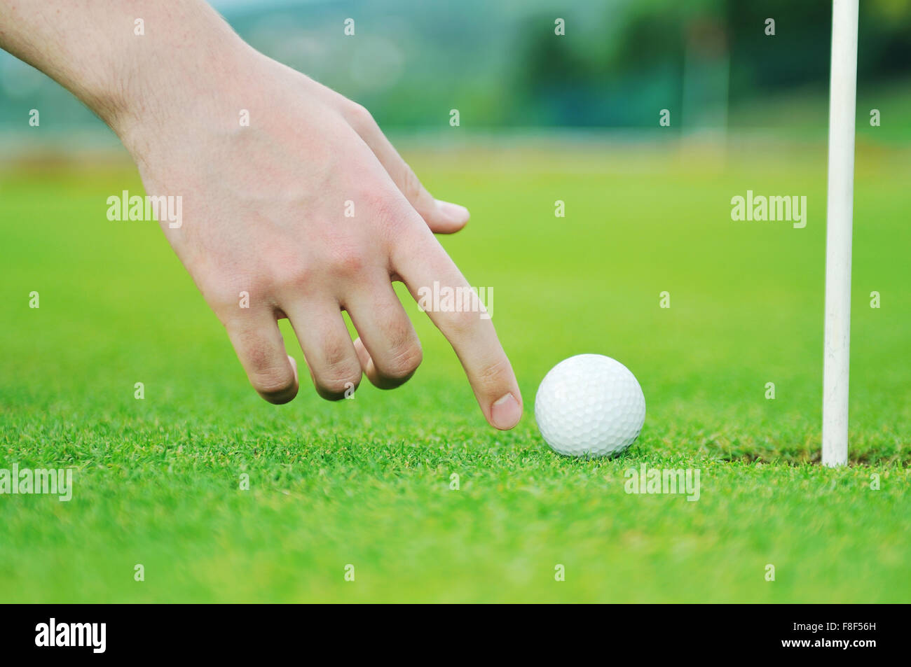 golf ball on sports golf course and hole Stock Photo - Alamy