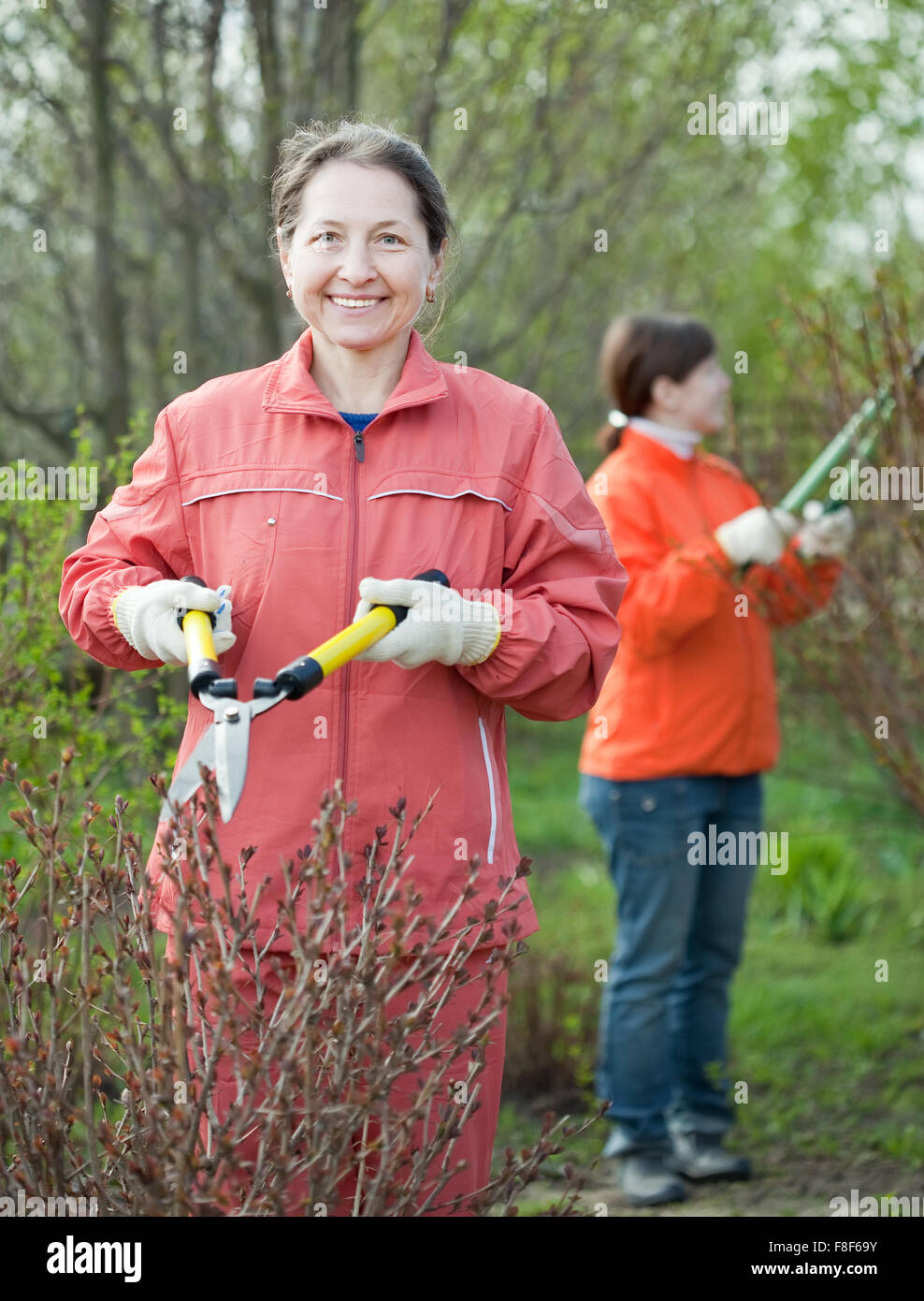 Two women cutting shrubbery at garden Stock Photo - Alamy