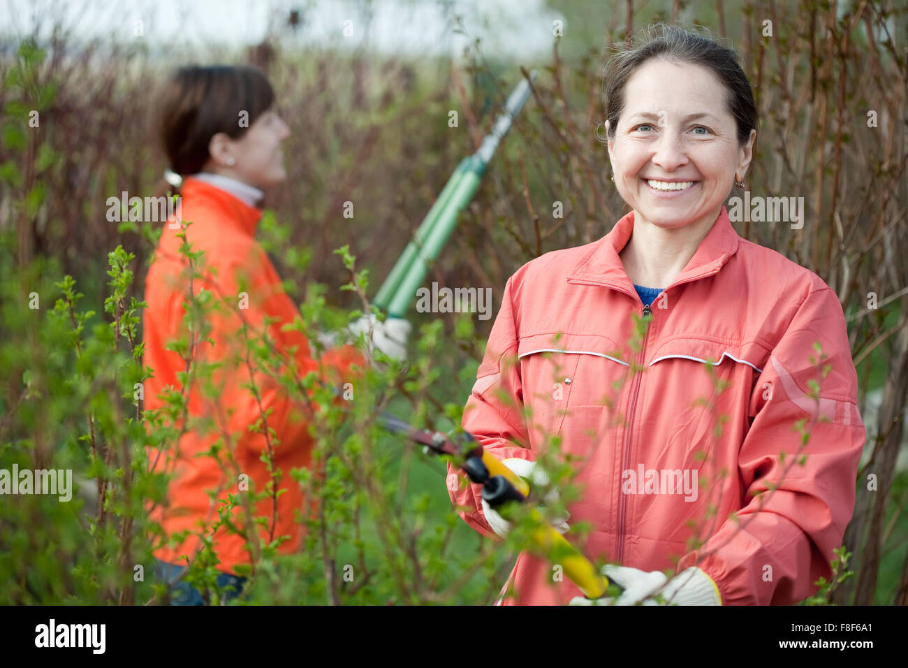 Two women cutting shrubbery at garden Stock Photo - Alamy