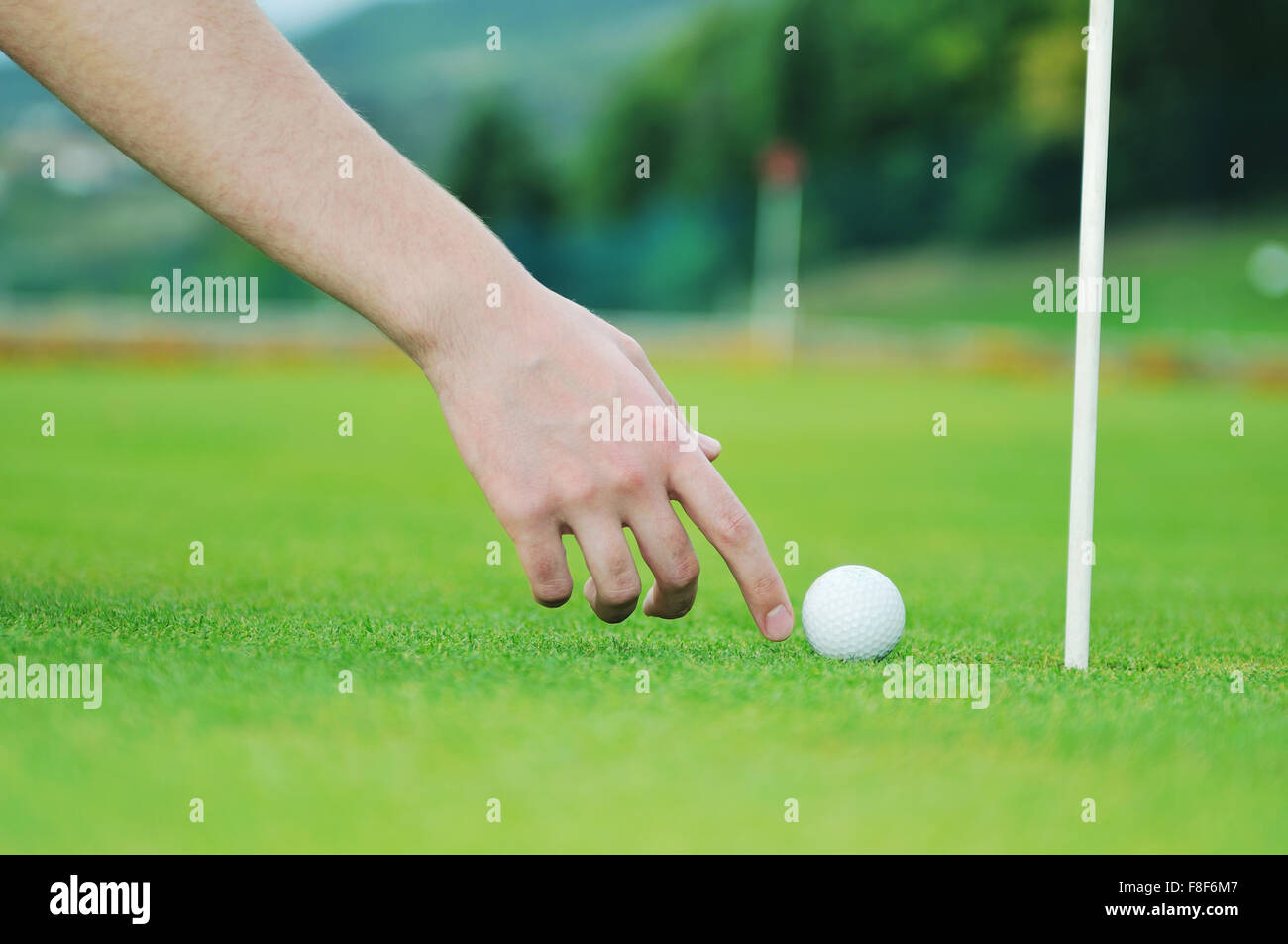 golf ball on sports golf course and hole Stock Photo - Alamy
