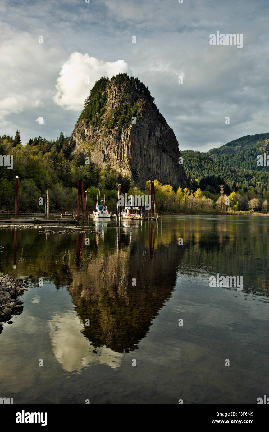 WA12259-00...WASHINGTON - Beacon Rock rising above the Columbia River ...