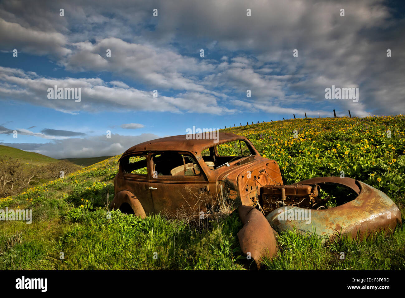 WASHINGTON - Old car abandoned in a field of balsamroot at the Dalles ...