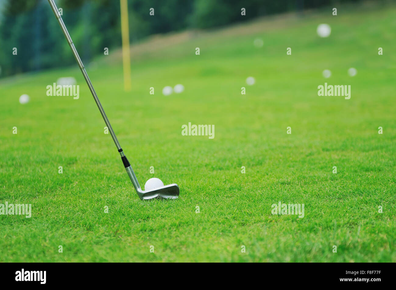 golf ball on sports golf course and hole Stock Photo - Alamy