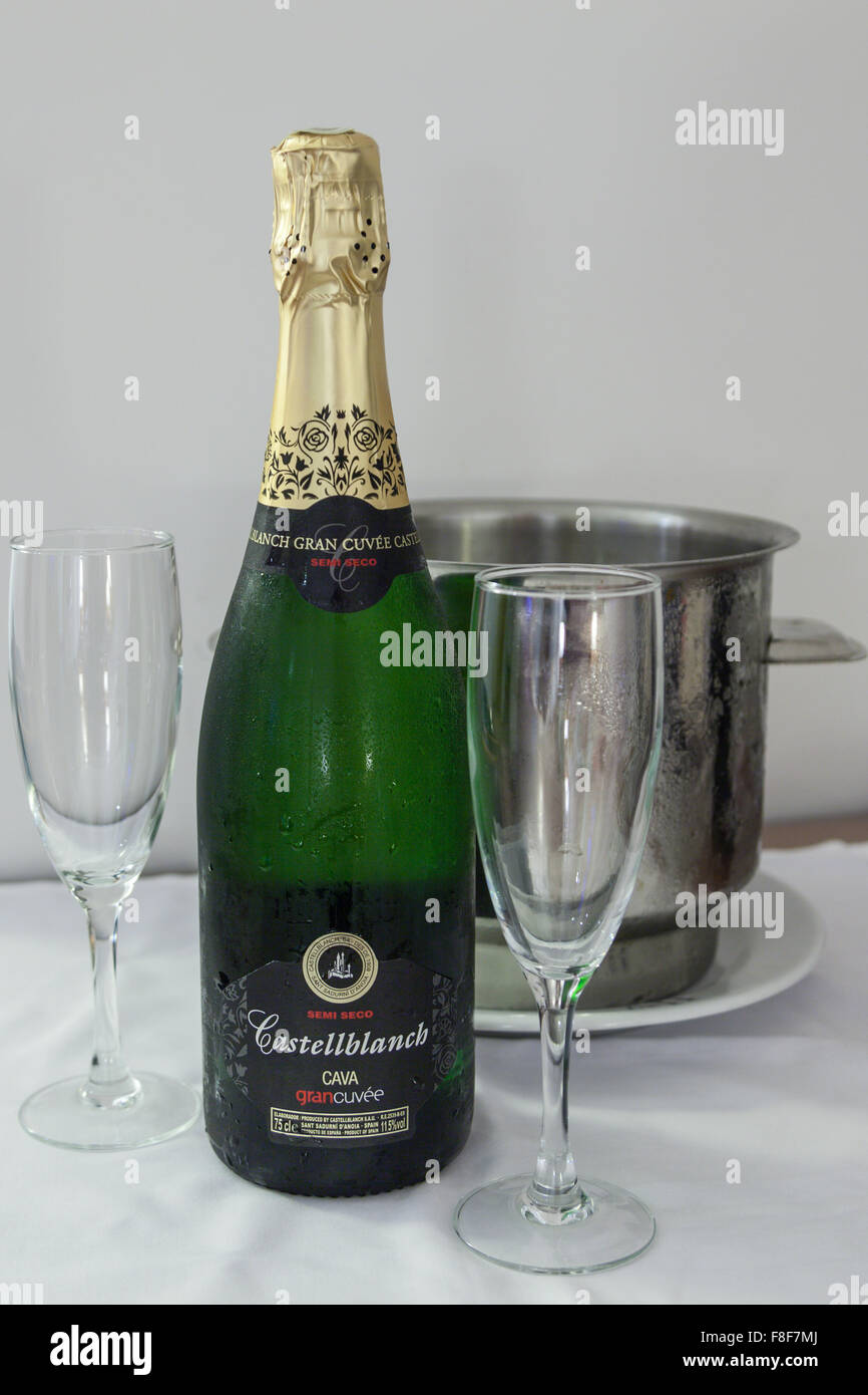 Bottle of Castellblanch Cava in an ice bucket for a romantic evening in ...