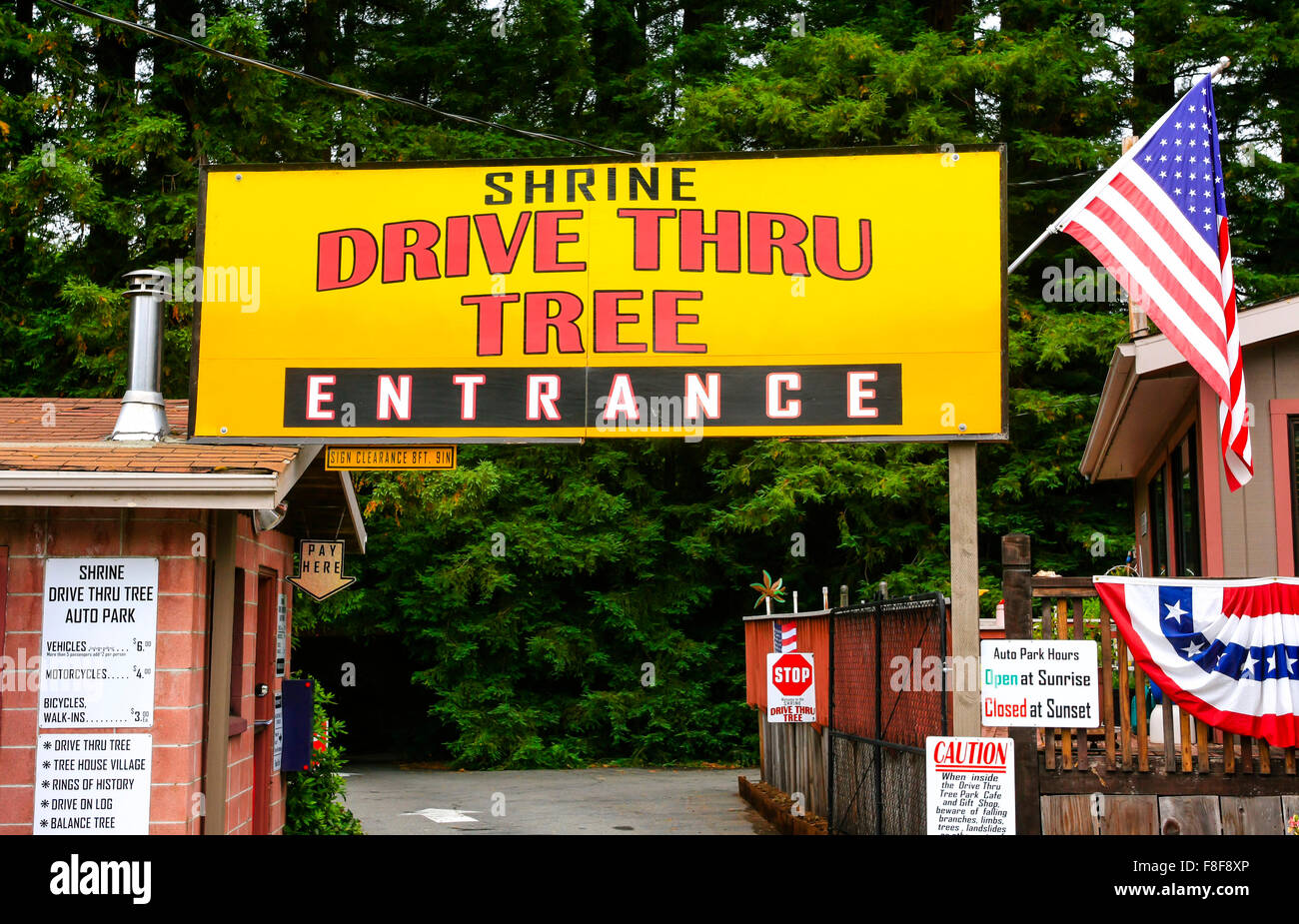 Drive thru redwood tree hi-res stock photography and images - Alamy