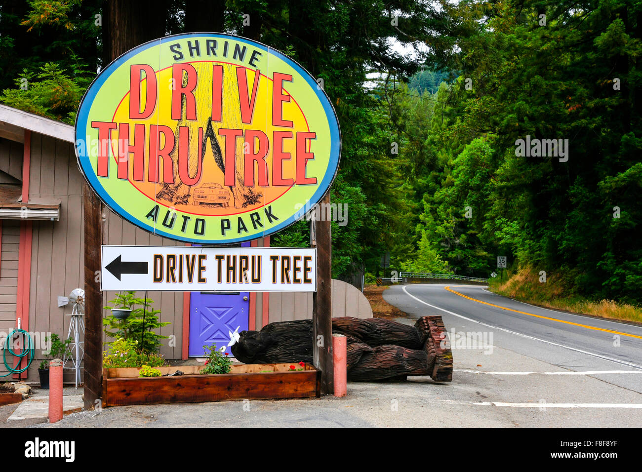 The Drive Thru Shrine Tree auto park overhead sign in Myers Flat ...