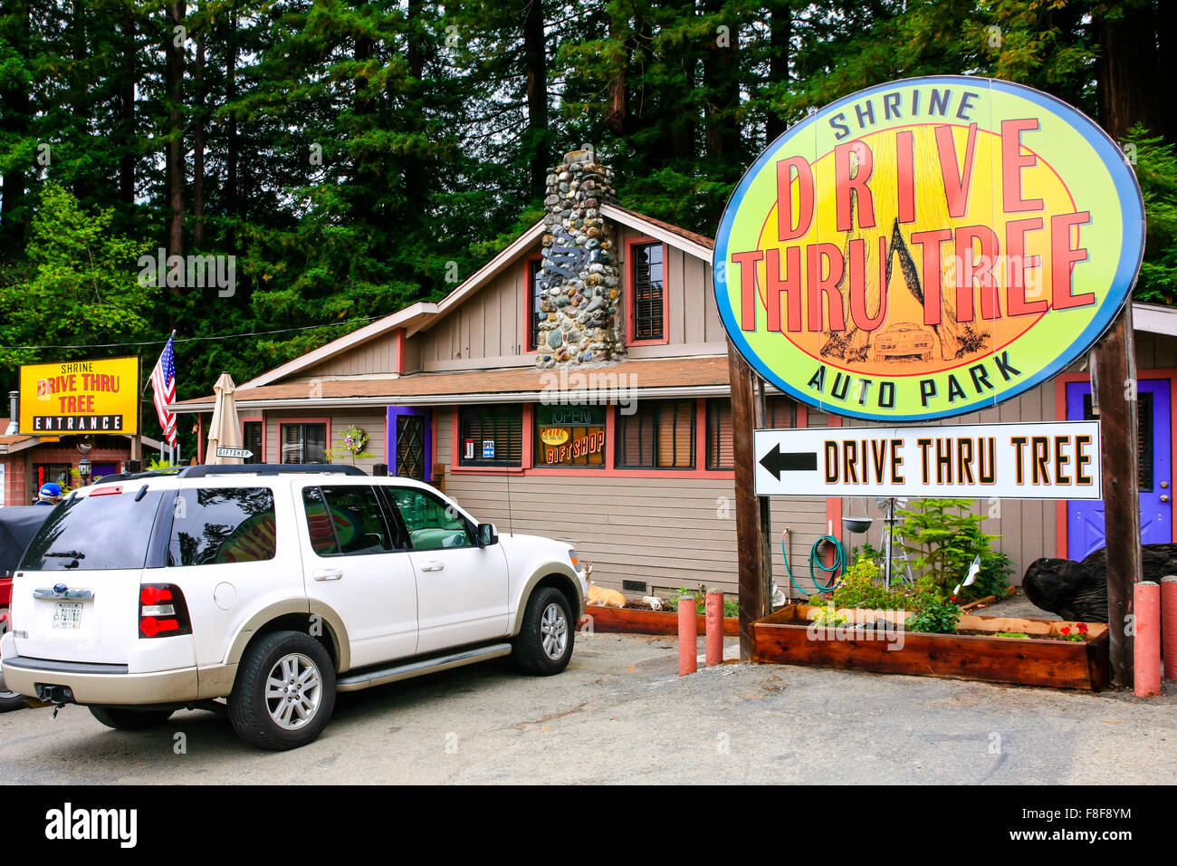 The Drive Thru Shrine Tree auto park overhead sign in Myers Flat ...