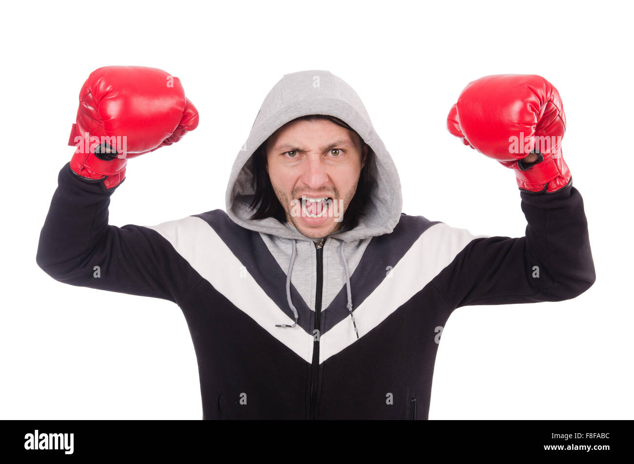 Funny boxer isolated on the white Stock Photo - Alamy