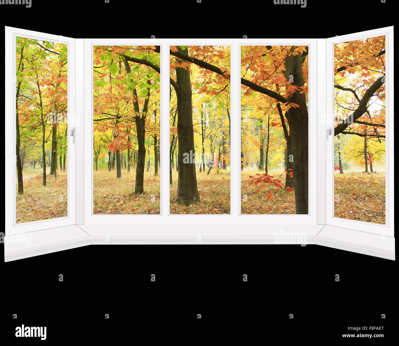 window overlooking the autumn park with yellow trees Stock Photo - Alamy