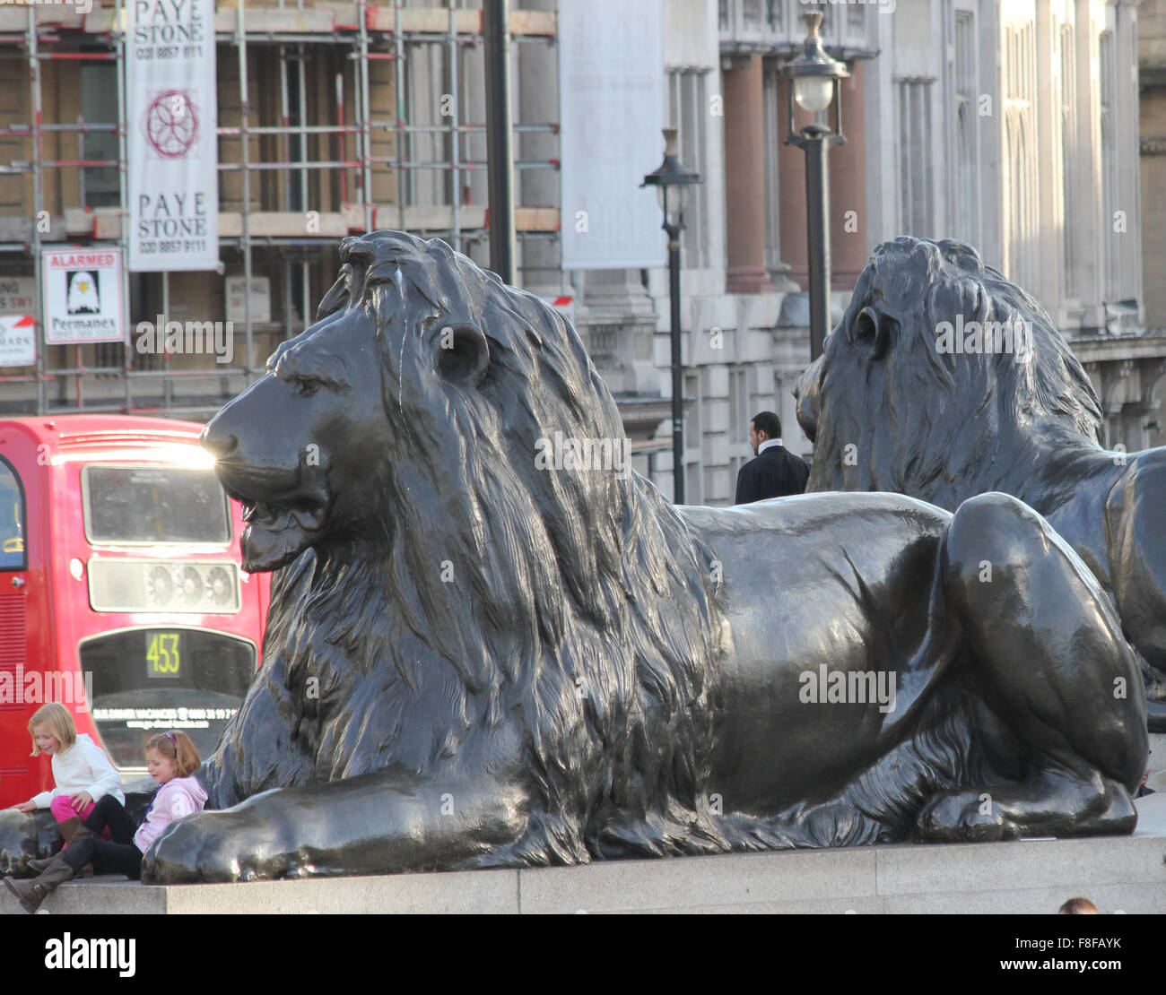 Lion cubs in london hi-res stock photography and images - Alamy