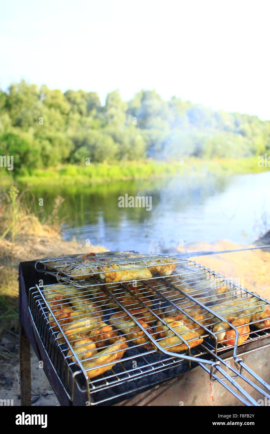 appetizing barbecue from chicken 's meat cooked in the nature Stock ...